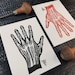 Anatomical Hand Original Linocut // Anatomy Linoprint - Etsy