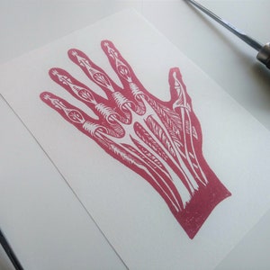 Anatomical Hand Original Linocut // Anatomy Linoprint | Etsy