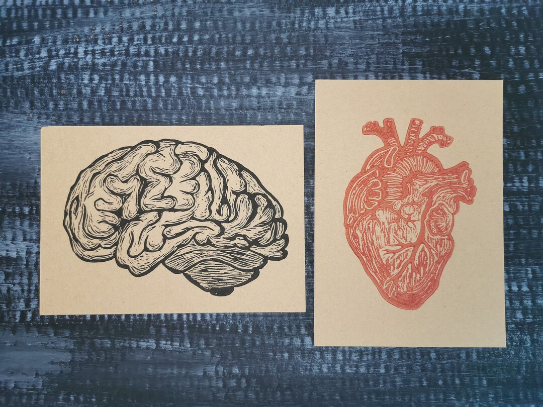 Anatomical Heart Card // Human Heart Postcard - Etsy