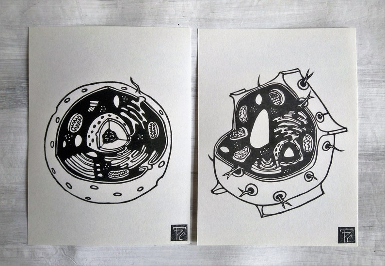 Plant and Animal Cell Original Linocut // Biology Linoprint | Etsy