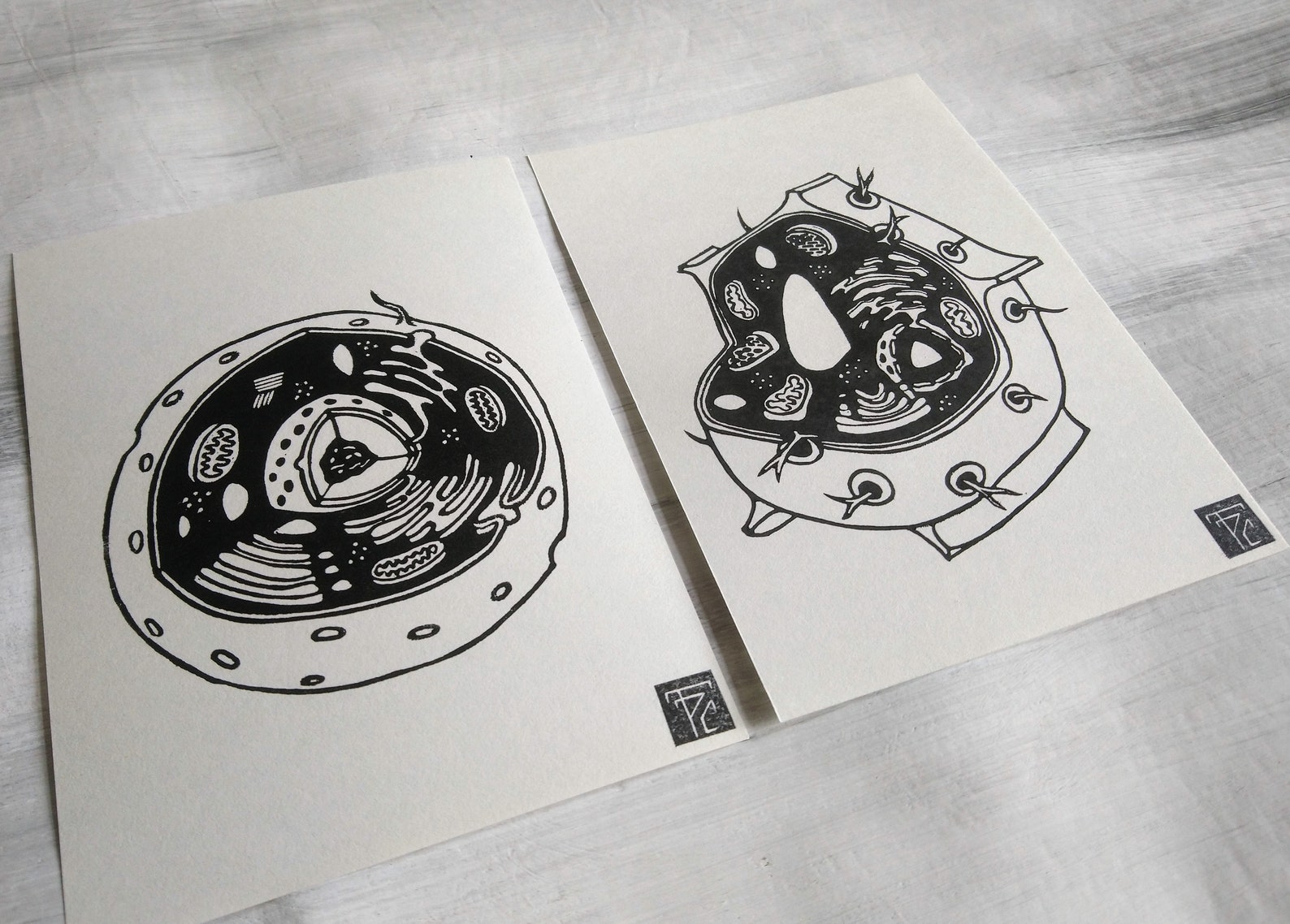 Plant and Animal Cell Original Linocut // Biology Linoprint | Etsy