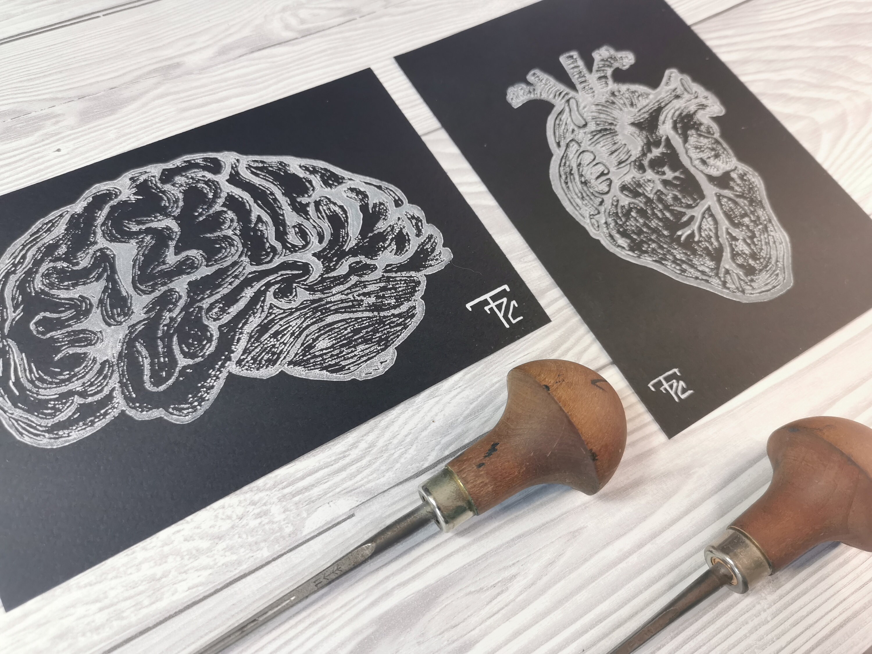 Anatomical Heart Original Linocut // Anatomy Linoprint - Etsy