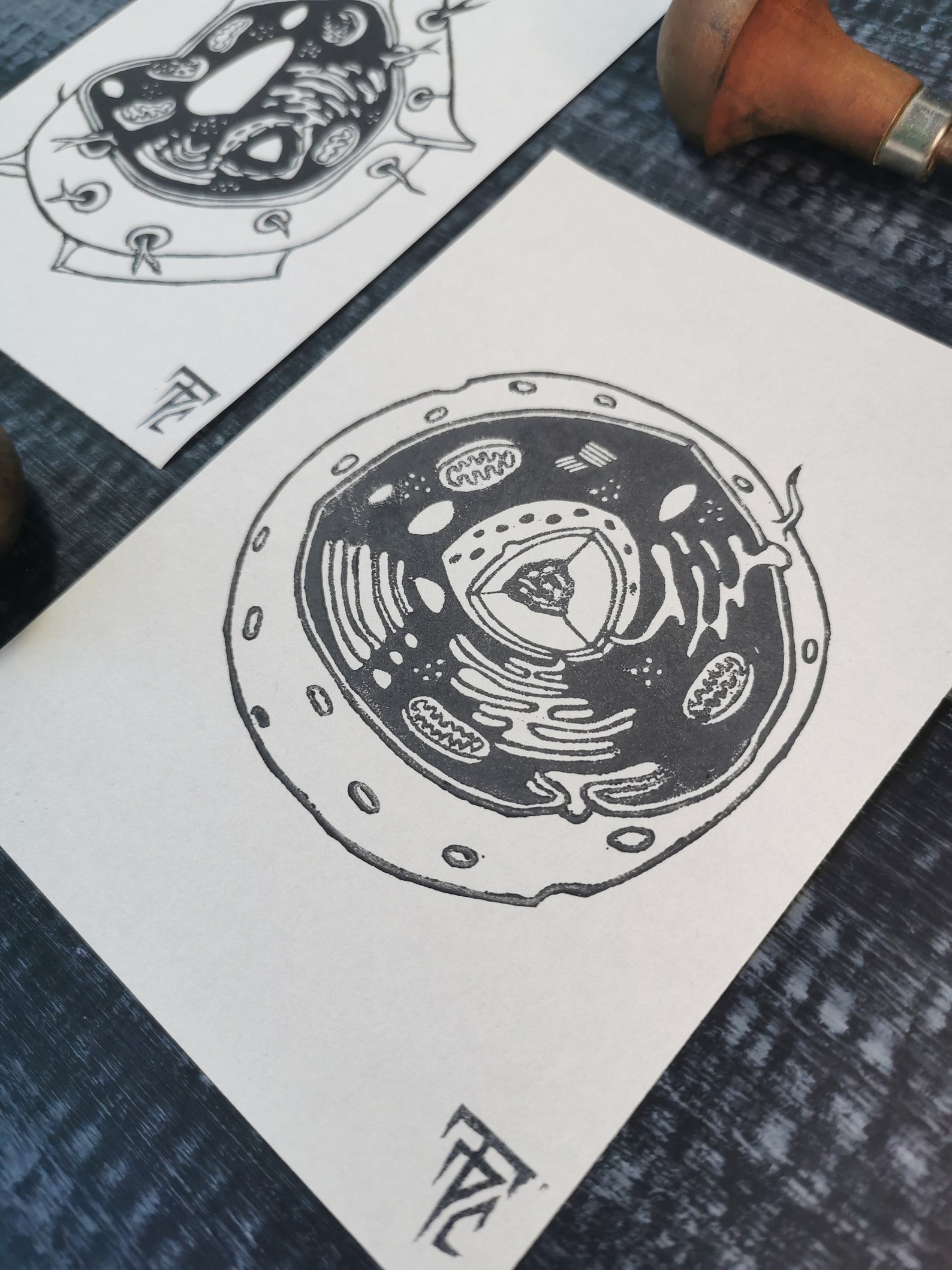 Plant and Animal Cell Original Linocut // Biology Linoprint - Etsy