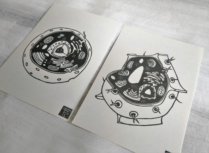 Plant and Animal Cell Original Linocut // Biology Linoprint | Etsy