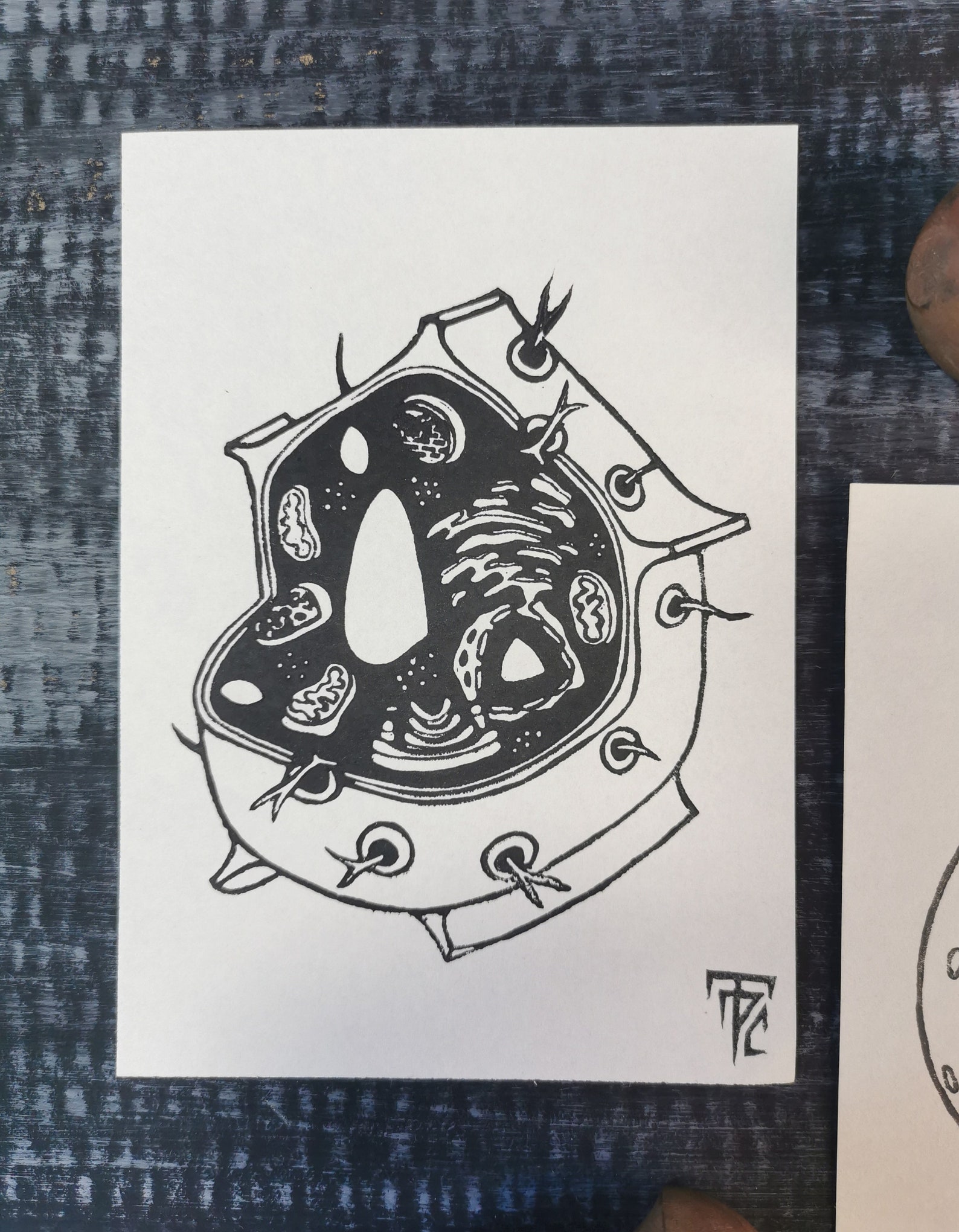 Plant and Animal Cell Original Linocut // Biology Linoprint - Etsy