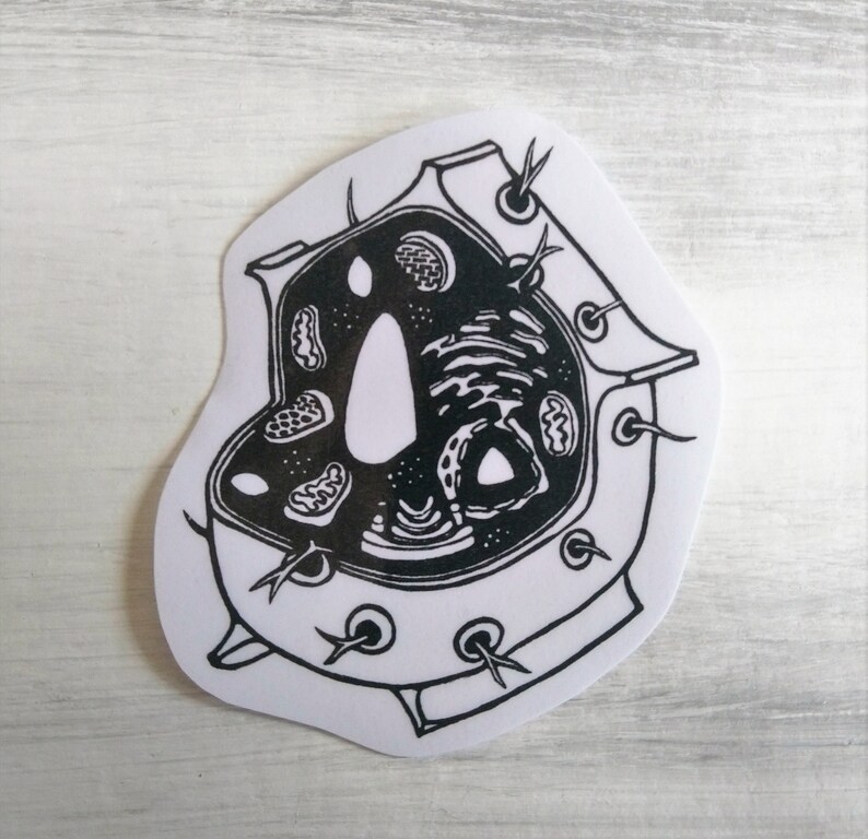 Plant and Animal Cell Sticker // Biology Laptop Sticker - Etsy