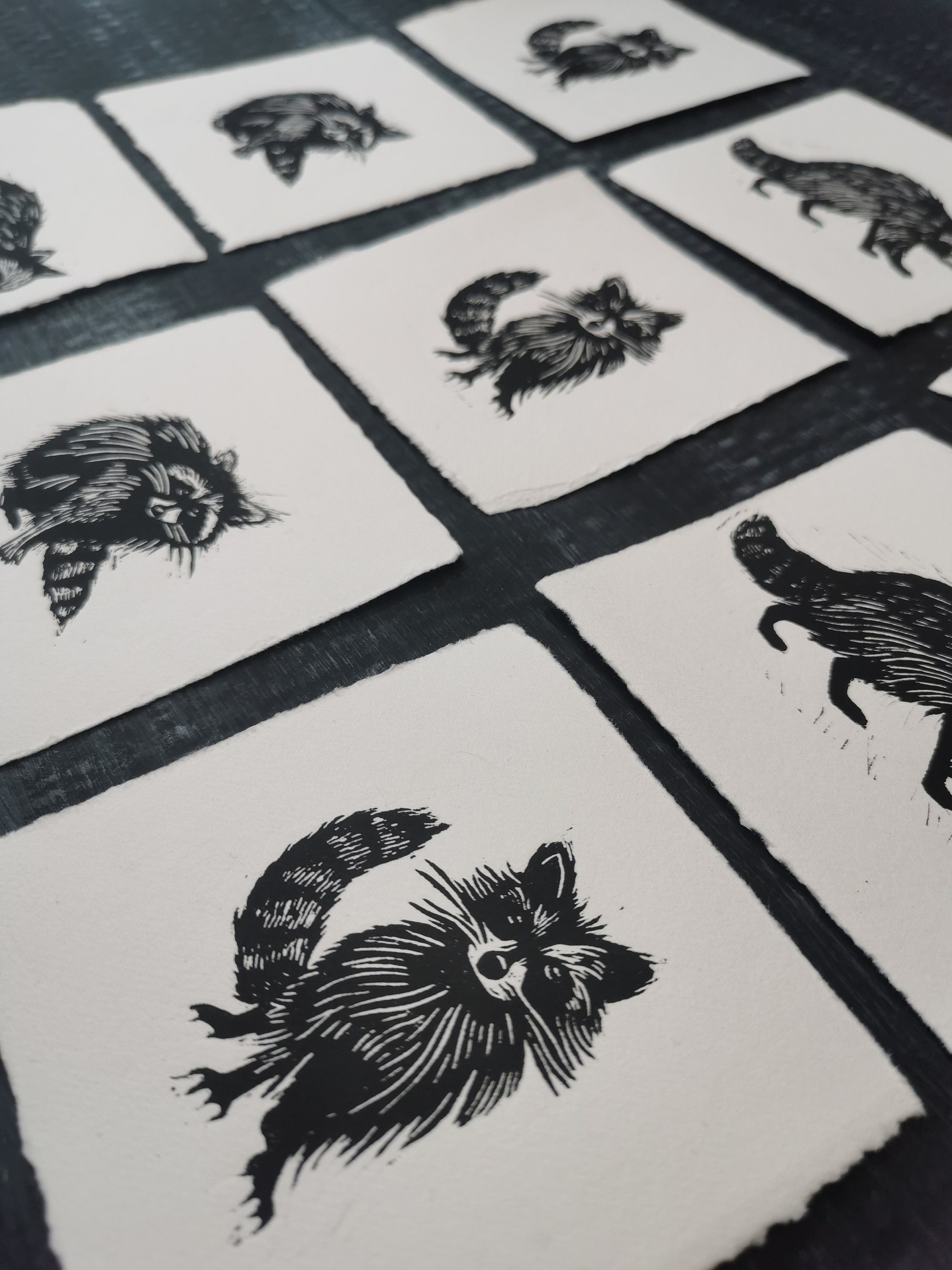 Raccoon Original Linocut Set || Hand-printed Linocut - Etsy