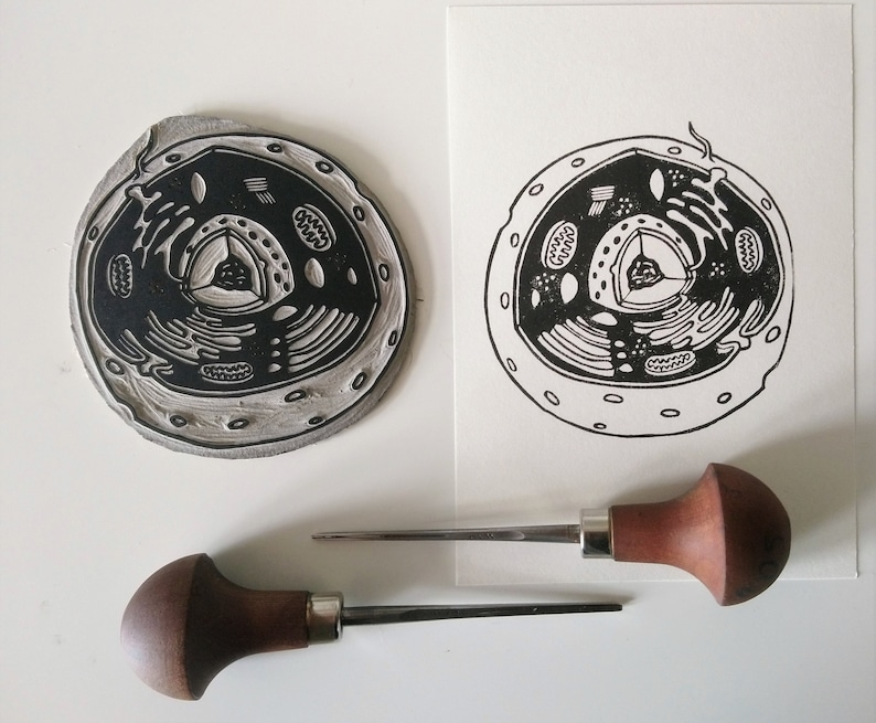 Plant and Animal Cell Original Linocut // Biology Linoprint | Etsy