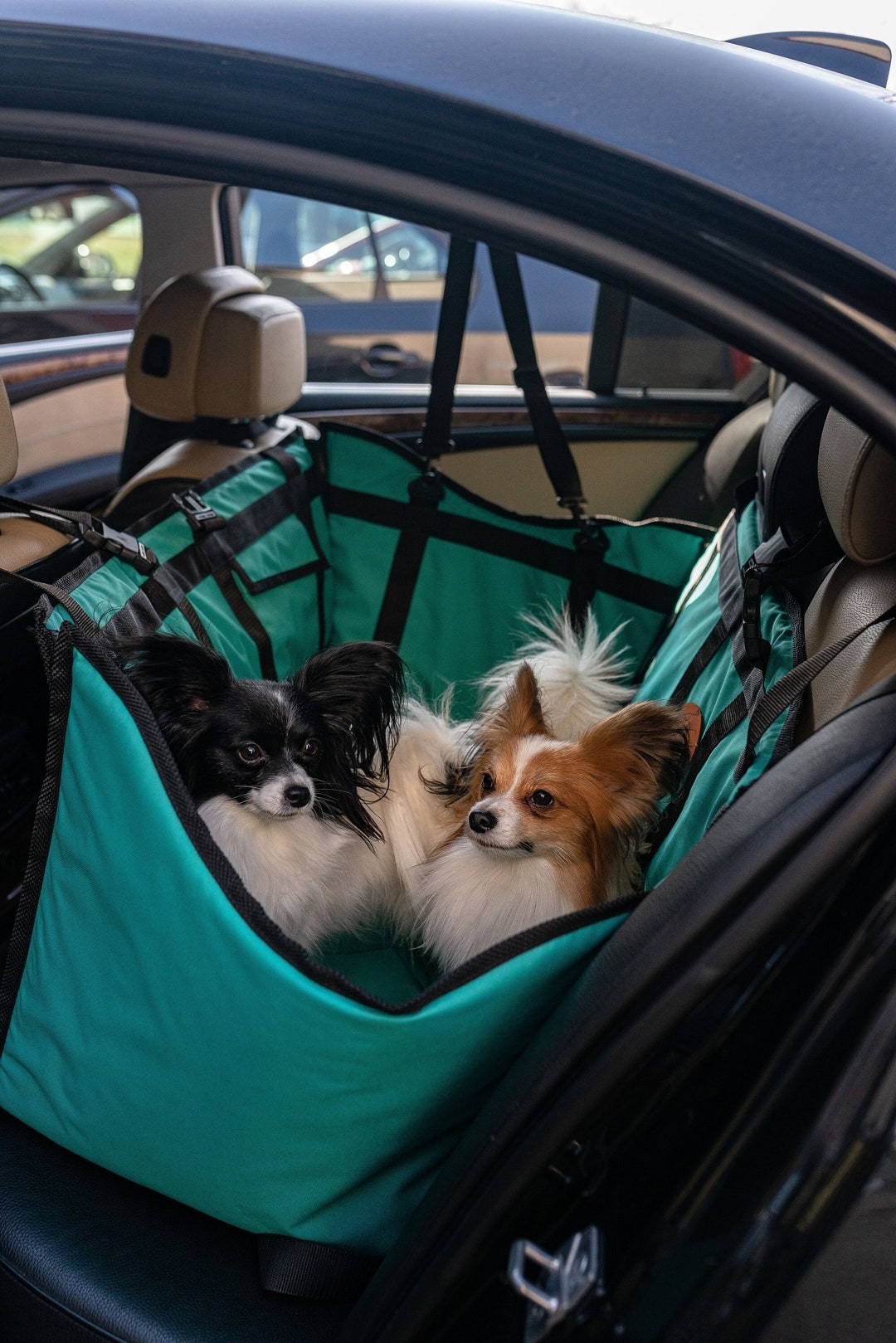 Waterproof Dog Hammock, Deluxe Dog Seat Cover for Back Seat, Waterproof ...