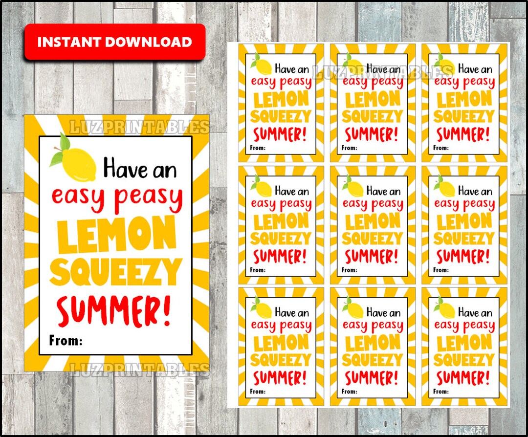 Easy Peasy Lemon Squeezy Summer Lemonade Teacher Appreciation Hanging ...