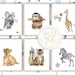 Animals Playing Sports Prints, Set of 6 Sports Theme Nursery Wall Art ...