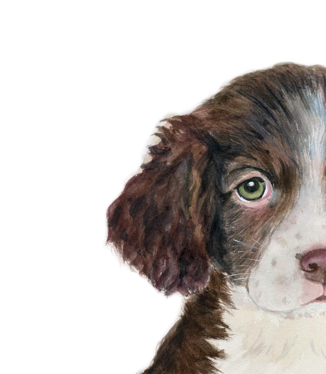 Spaniel Puppy Watercolor Print, Football Nursery Decor (digital ...
