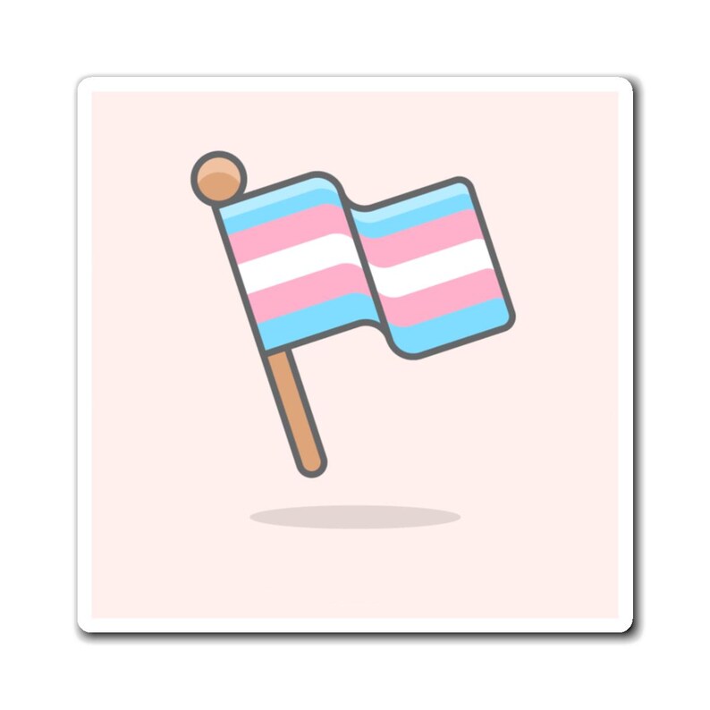 Transgender Pride Magnet, Rainbow Flag Fridge Decor, LGBT Kitchen ...