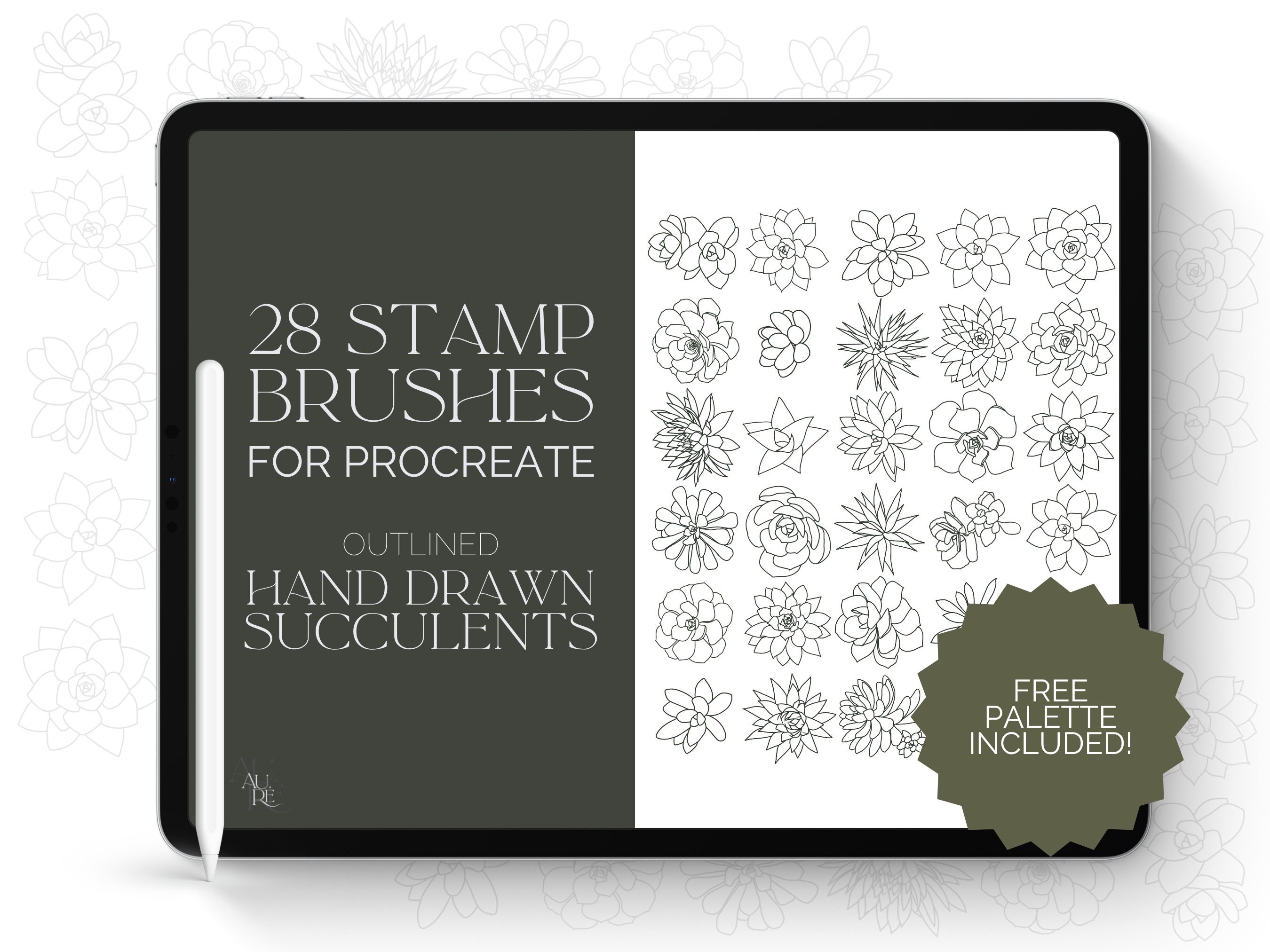 Succulent Procreate Stamp Brushes Hand Drawn Line Art for Commercial ...