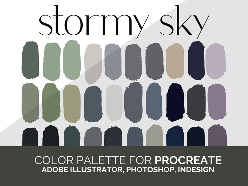 Moody Procreate Color Palette, Stormy Skies Adobe Color Palette , Grey ...