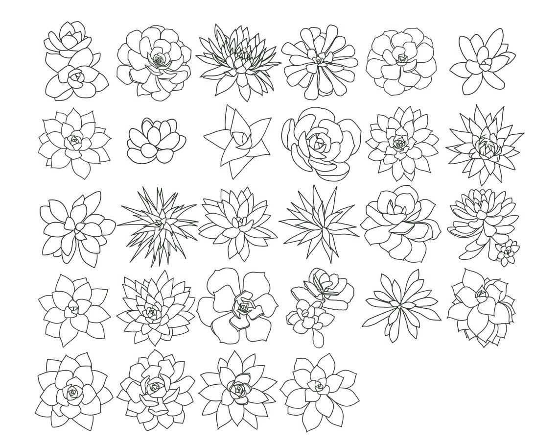 Succulent Clip Art - Hand Drawn Line Art - Black Outlined Succulents ...