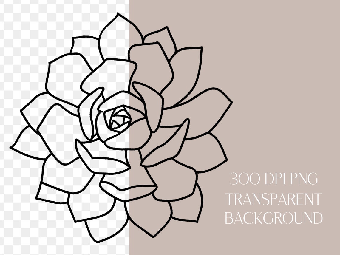 Succulent Clip Art - Hand Drawn Line Art - Black Outlined Succulents ...