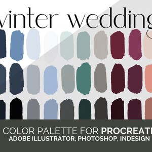 Winter Color Palette, 30 Swatches for Procreate, Adobe Photoshop ...