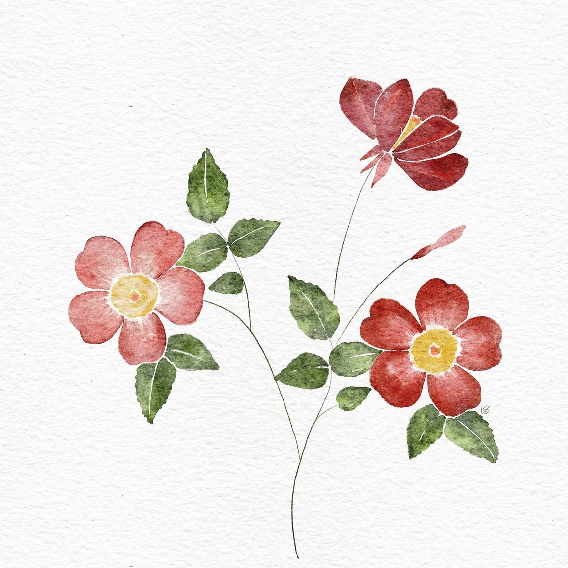 Vintage Illustration Color Palette for Illustrator, Procreate, and ...