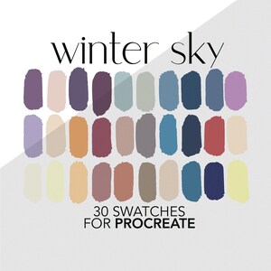 Procreate Color Palette - Winter Sky Inspired Color Scheme for ...