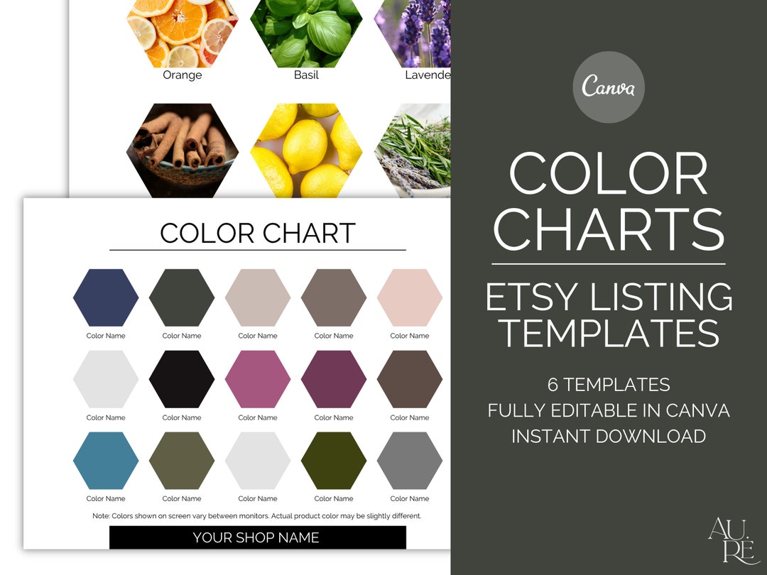 Editable Canva Color Chart For Etsy Listings Fully Customizable Template For Ecommerce Small