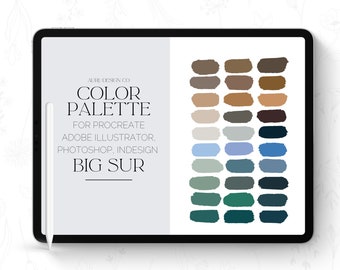 Big Color Palette - Etsy