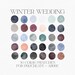 Winter Color Palette, 30 Swatches for Procreate, Adobe Photoshop ...