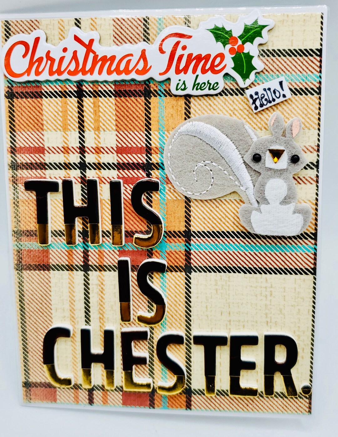 This is Chester. These Are Chester's Nuts Roasting on an Open Fire. Any ...