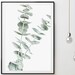 Eucalyptus Poster, Green Wall Art, Plant Poster, Photography Prints ...
