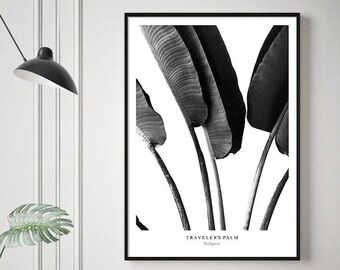 Banana Leaf Poster - Etsy
