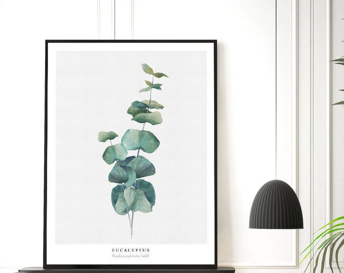 Eucalyptus Plant Poster Watercolor Prints Leaves Prints - Etsy