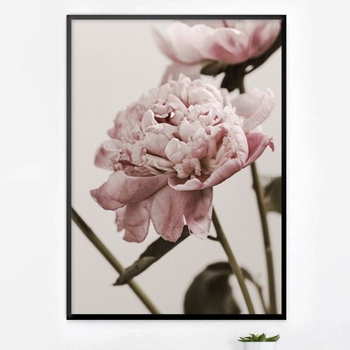 Peonies Poster Peonies Prints Flower Wall Art Flower | Etsy