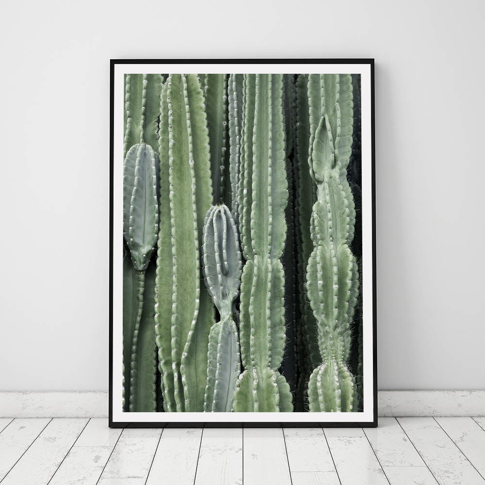 Cactus Prints Tropical Wall Art Succulent Print Cactus Wall | Etsy