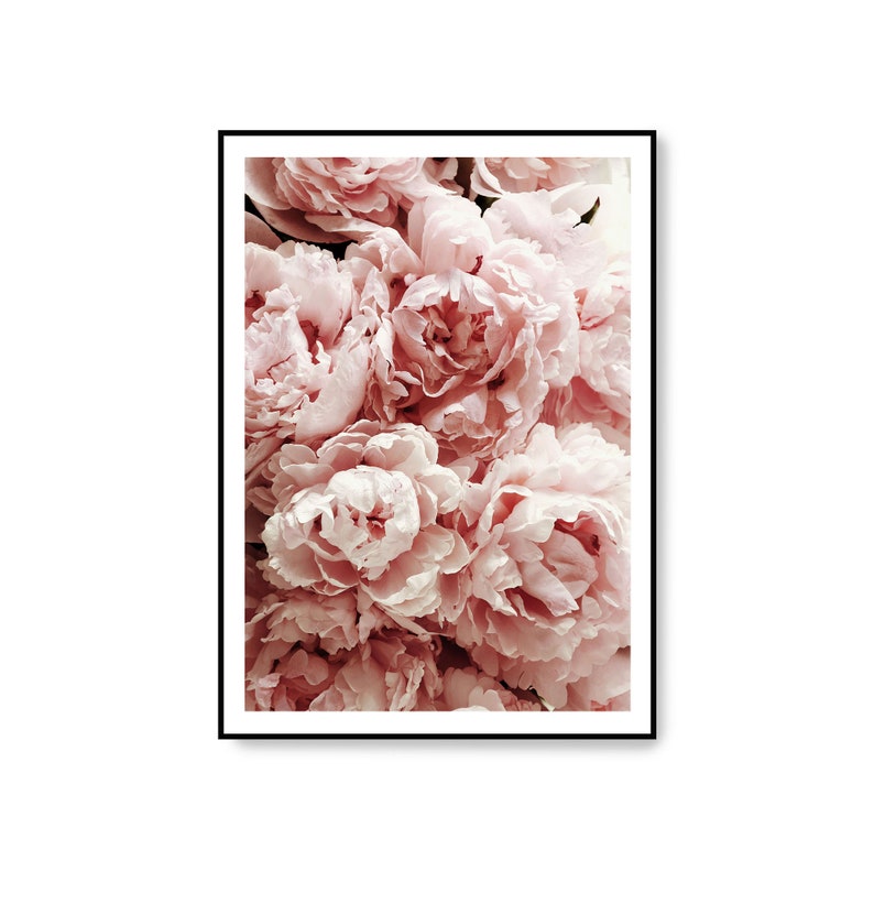 Peonies Prints Flower Wall Art Flower Print Botanical Wall | Etsy