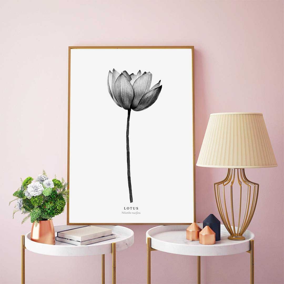 Lotus art printFlower printsBotanical printPink flower | Etsy