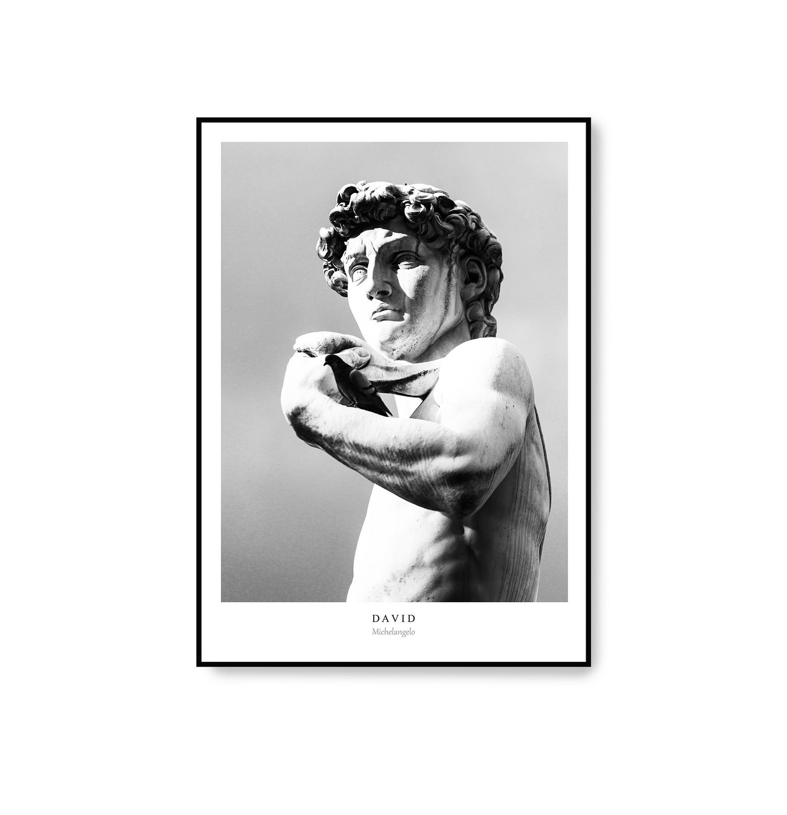 David Statue Large Poster Modern Wall Art Michelangelo - Etsy