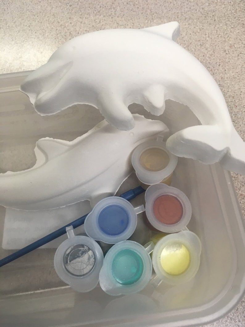 Dolphin Craft Kit Paint Your Own Dolphins Kits for Kids - Etsy
