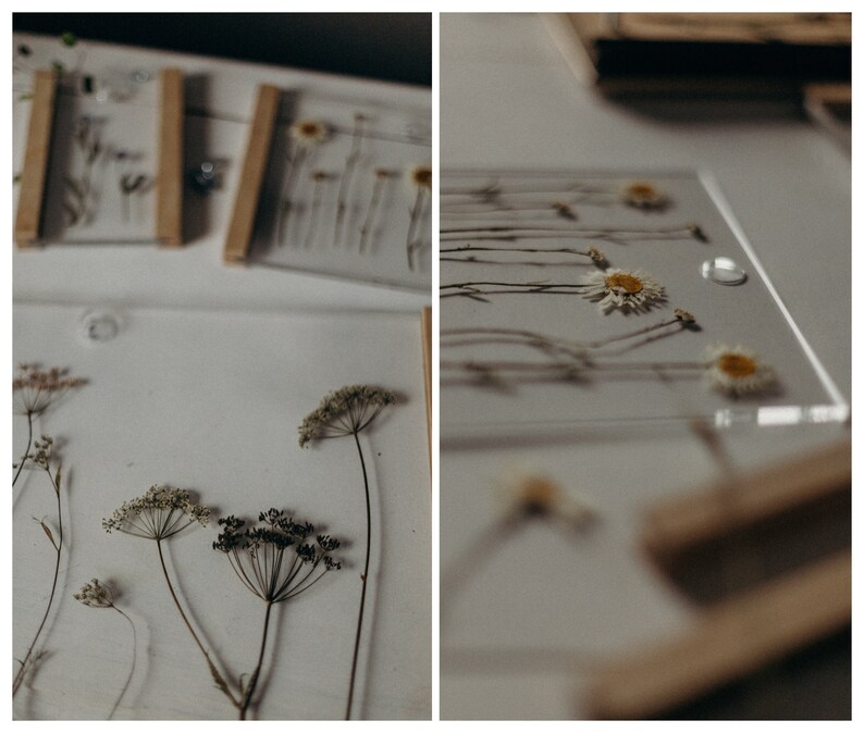 Pressed Flower Frame Art for Kids Hub Boho Chic Baby Shower - Etsy