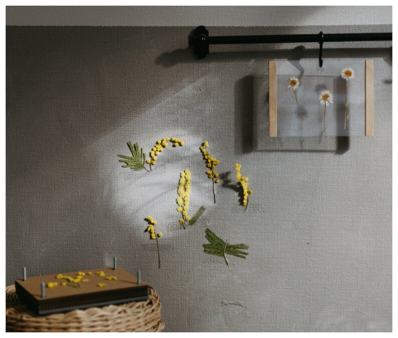 Pressed Flower Frame Art for Kids Hub Boho Chic Baby Shower - Etsy