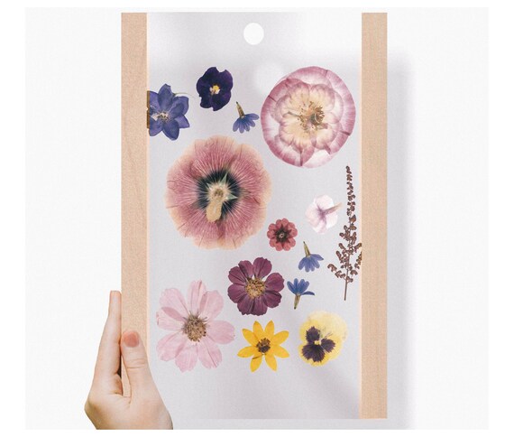 Pressed Flower Frame Art for Kids Hub Boho Chic Baby Shower - Etsy