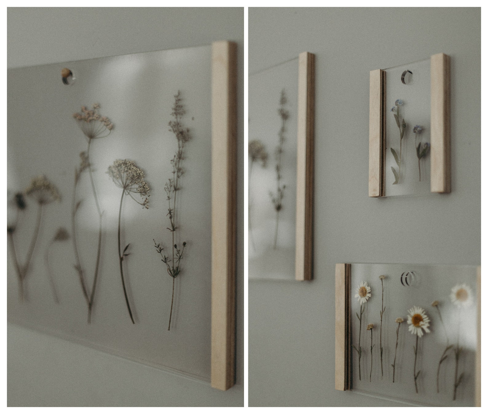 Pressed Flower Frame Art for Kids Hub Boho Chic Baby Shower - Etsy