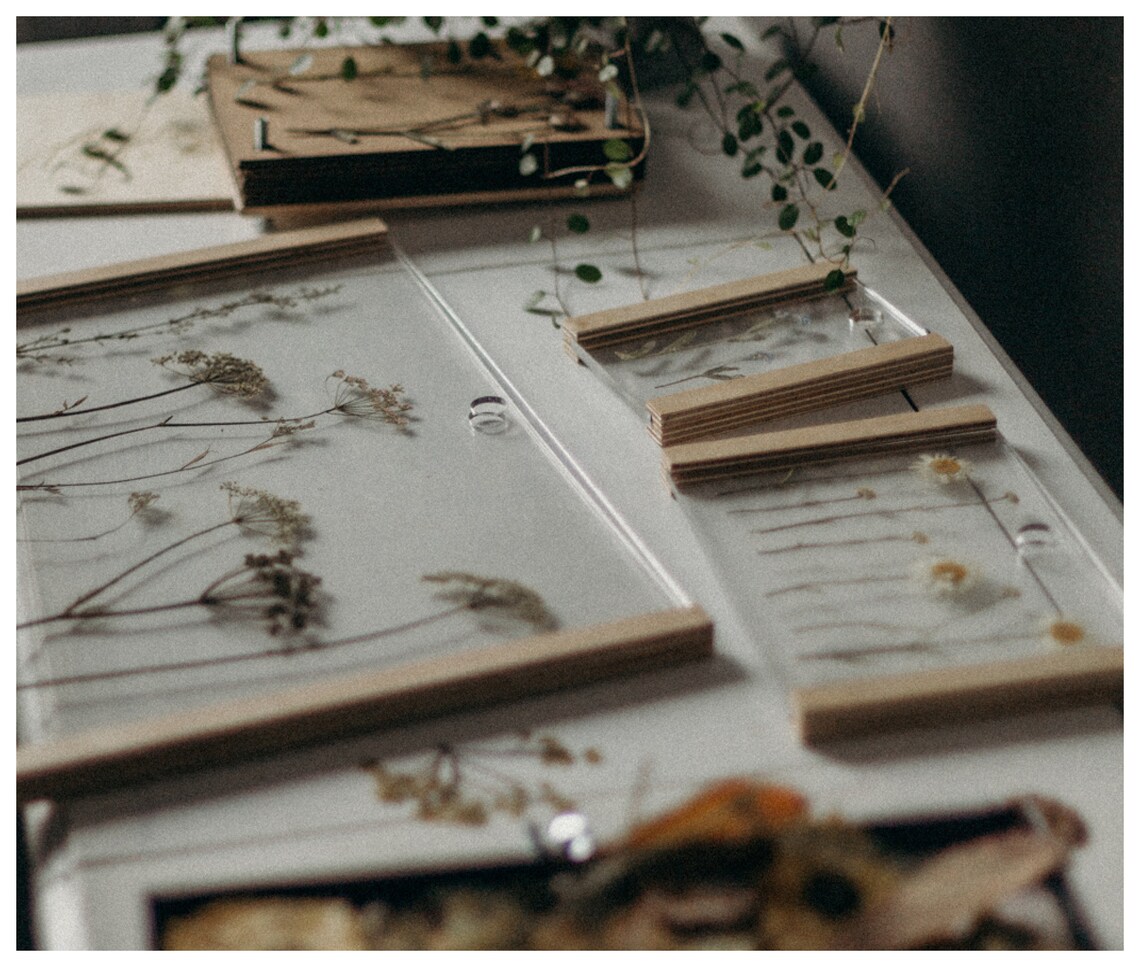 Pressed Flower Frame Art for Kids Hub Boho Chic Baby Shower - Etsy