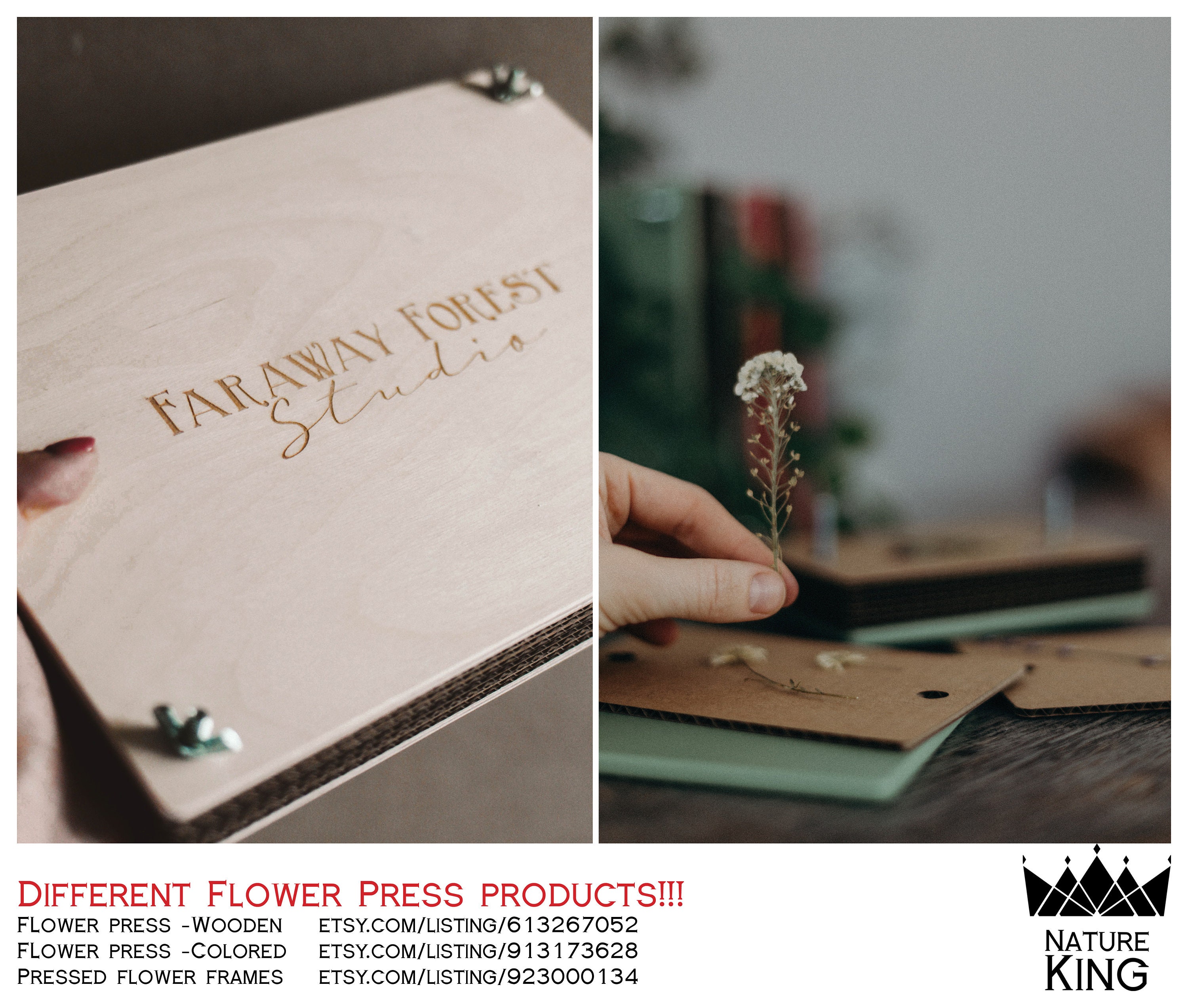 XS-XL Pressed flower frame Flower press frame Herbarium | Etsy