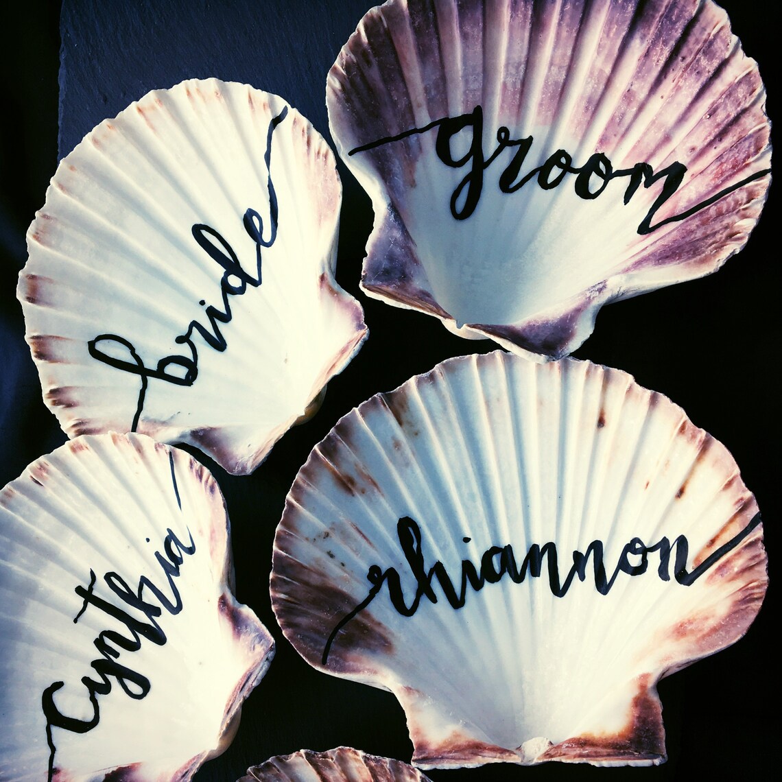 Wedding place card shell destination wedding nautical | Etsy