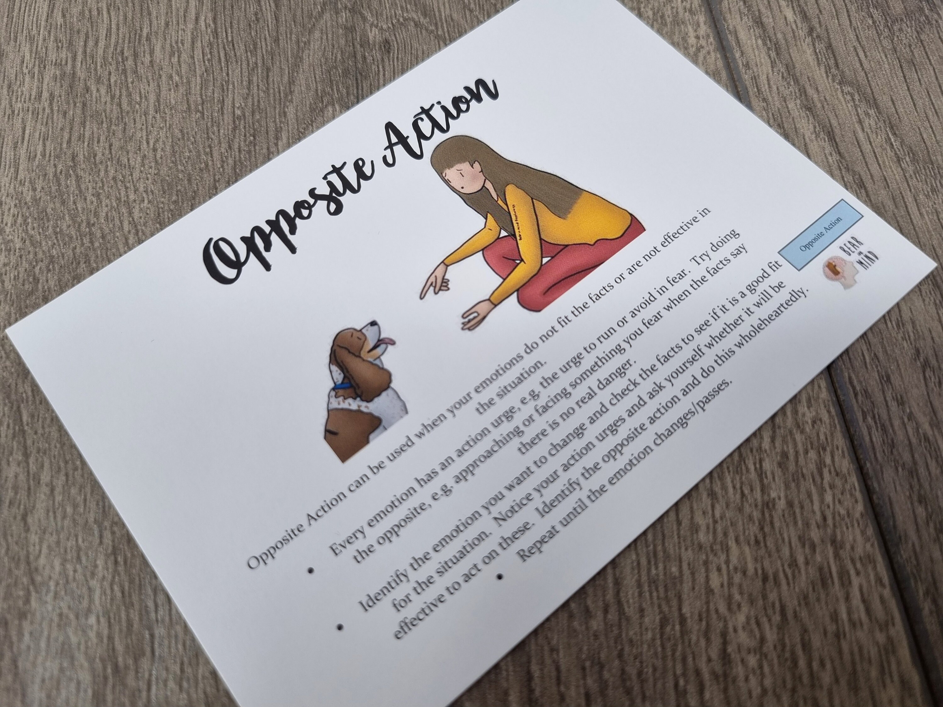 DBT DOUBLE Pack // Bear in Mind Cards, DBT Skills, Emotions, Self-help ...