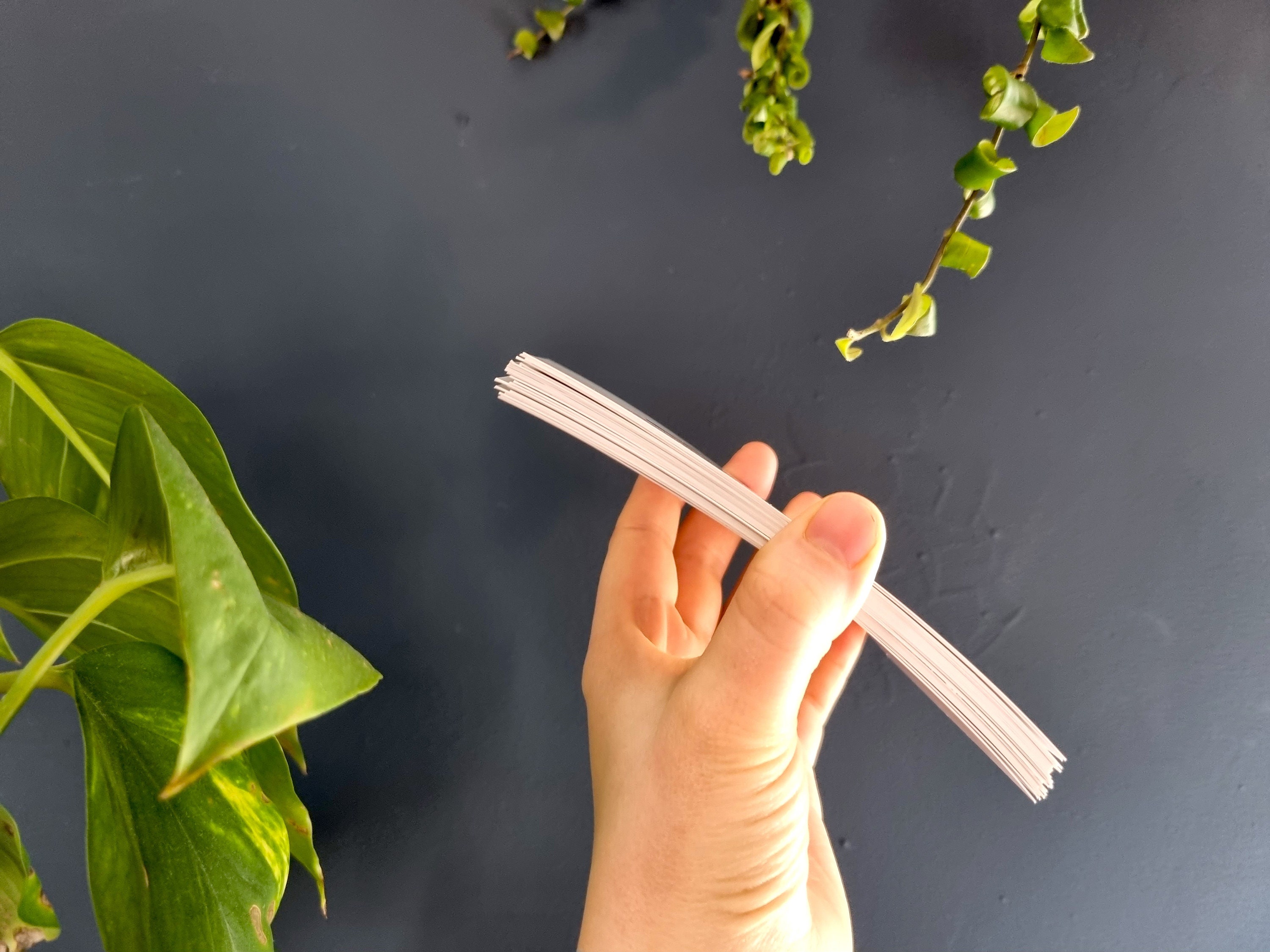 Core Childhood Needs Cards // Bear in Mind Cards Schema - Etsy UK