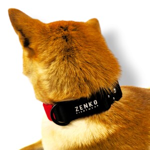 Zenko Jiu Jitsu Dog Collar - Ranked BJJ Jiu-jitsu Belt Pet Collars ...