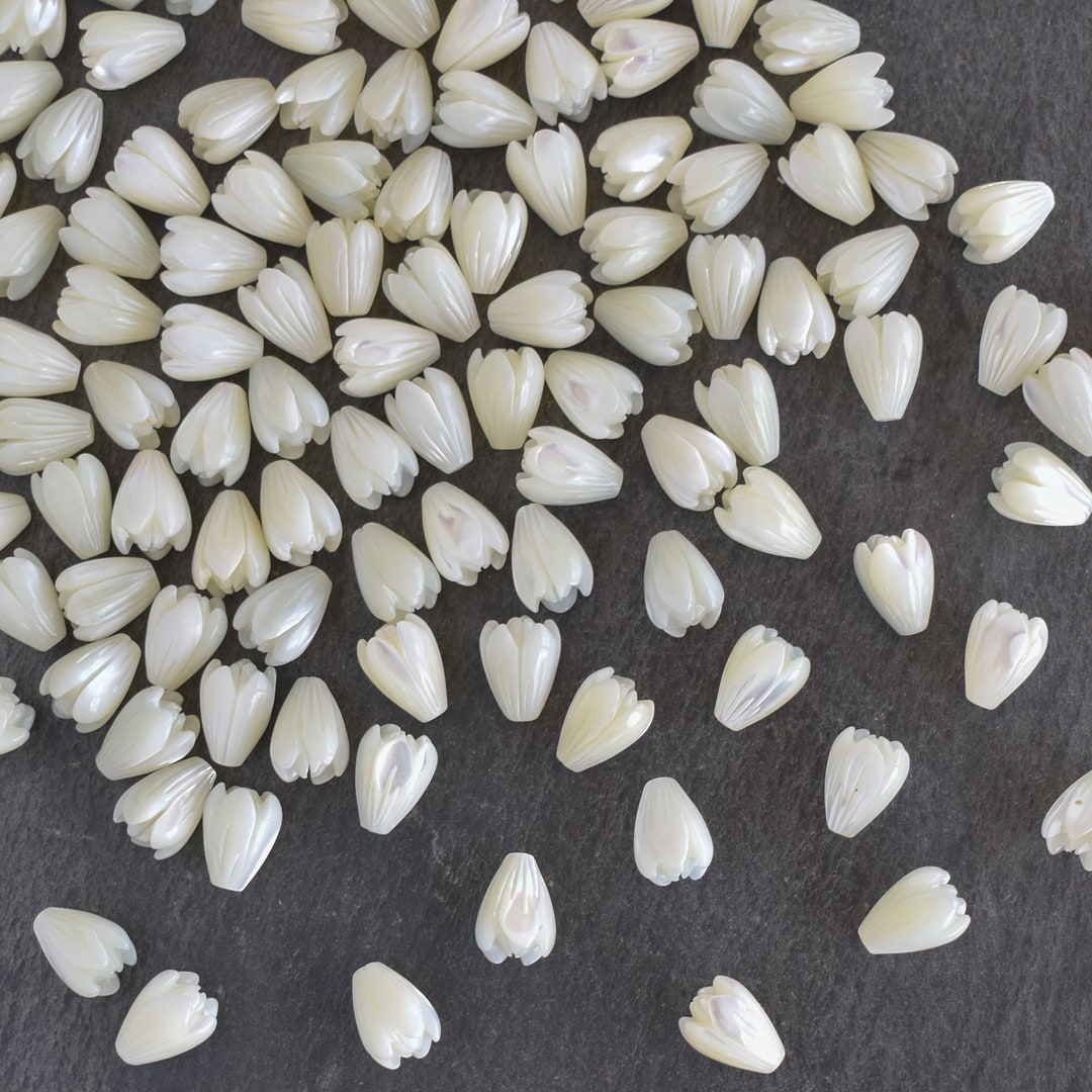 Large Mother of Pearl Pikake Beads, Medium Size (10mm X 13mm), Choose 5 ...