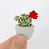 10 Mini Cactus Plant Party Favor Tex-mex, Party Favors, Potted Mini ...