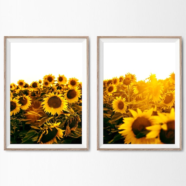 Sunflower Poster - Etsy